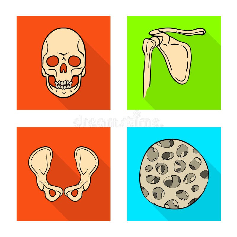 Isolated Object of Bone and Skeleton Symbol. Set of Bone and Human ...