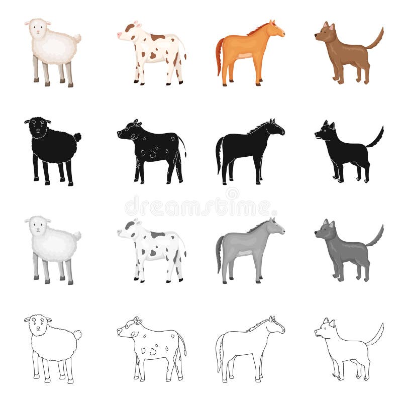 Designer Dogs, Crossbreed, Hybrid Mix Pooches Collection Isolated on ...