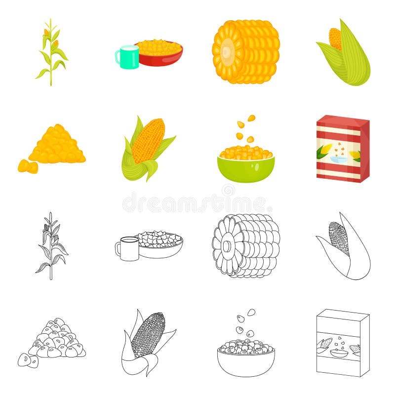 Vector Illustration of Cornfield and Vegetable Logo. Set of Cornfield ...