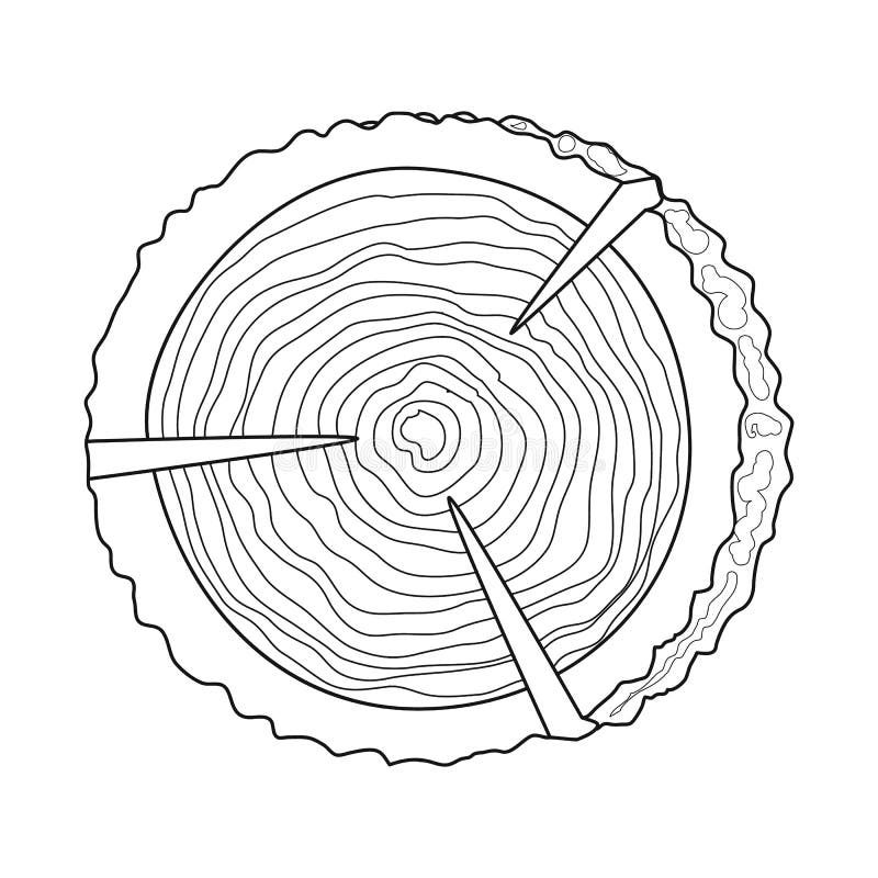 Isolated Object of Deck and Timber Icon. Set of Deck and Texture Stock ...