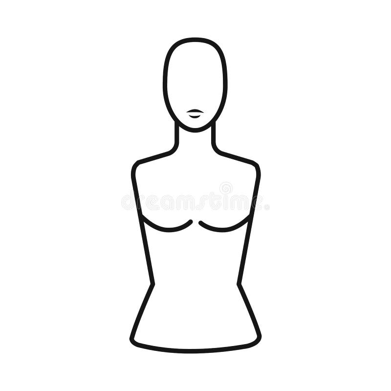 Torso - Female Frontal View. Stock Illustration - Illustration of chest ...