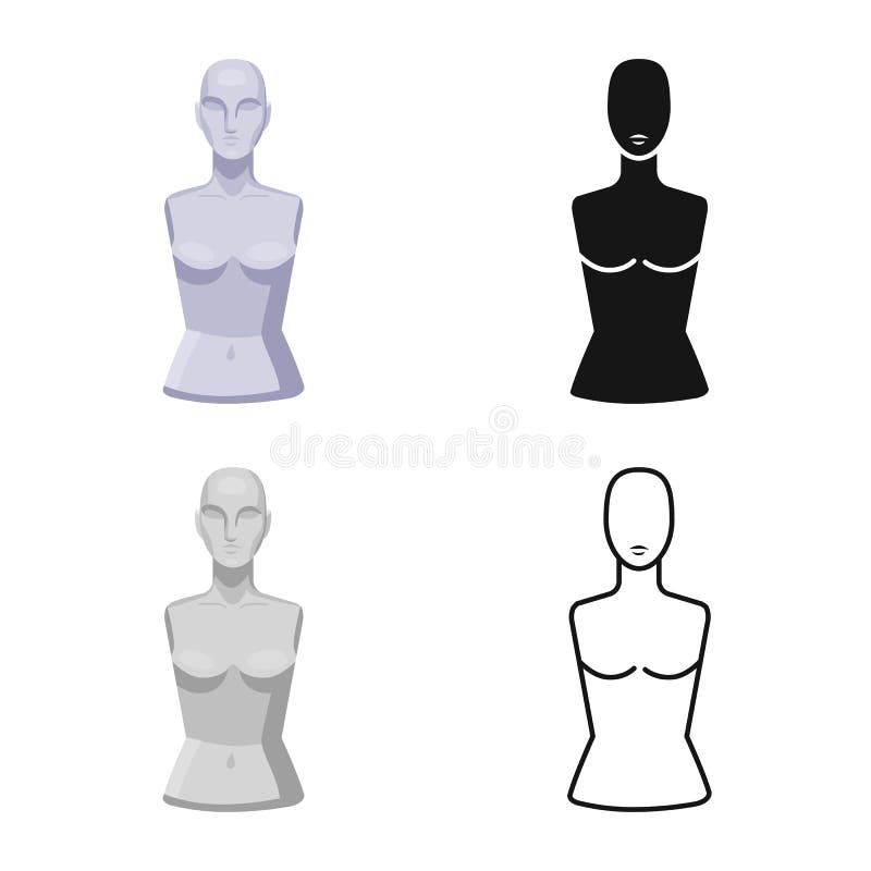 Torso - Female Frontal View. Stock Illustration - Illustration of chest ...