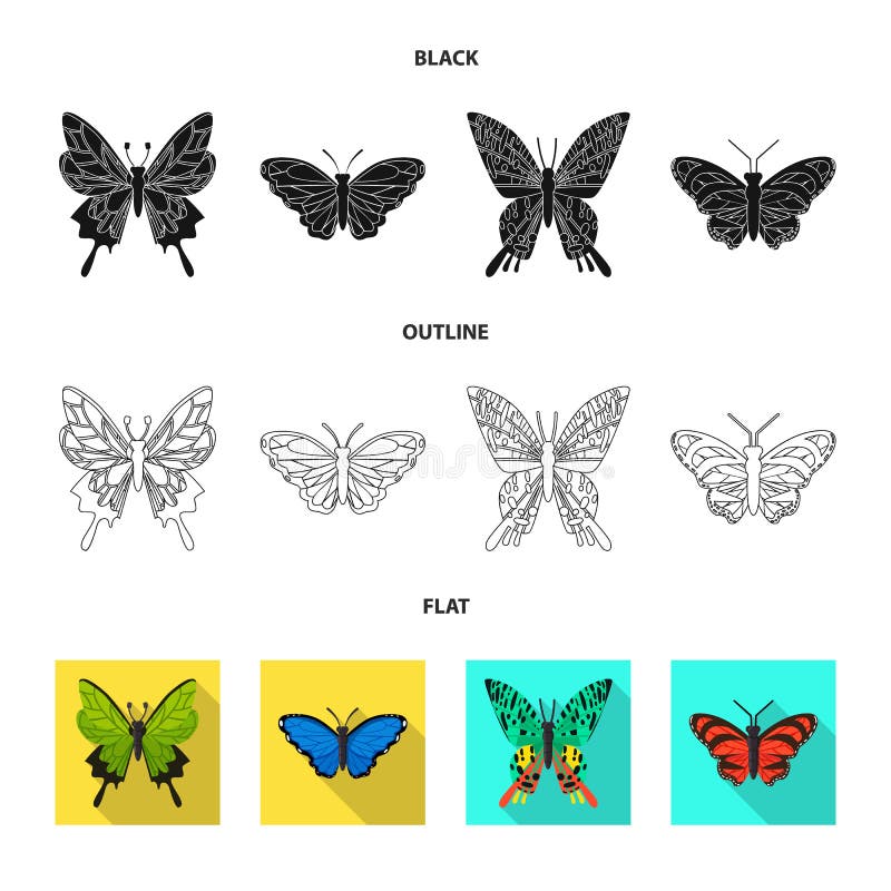 Isolated Object of Exotic and Botanic Logo. Collection of Exotic and ...