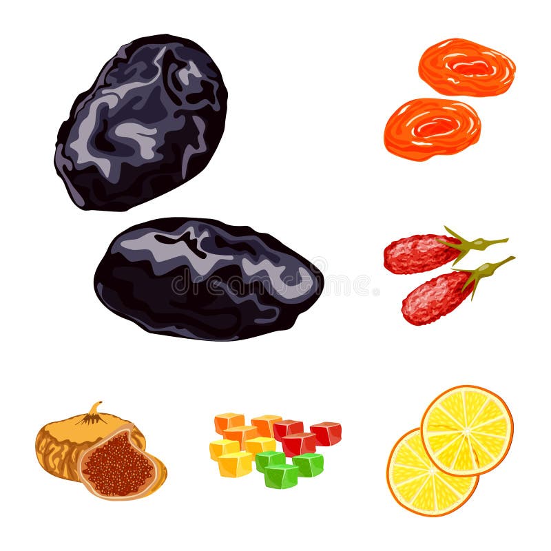Isolated Object of Fruit and Dried Sign. Set of Fruit and Food Vector ...