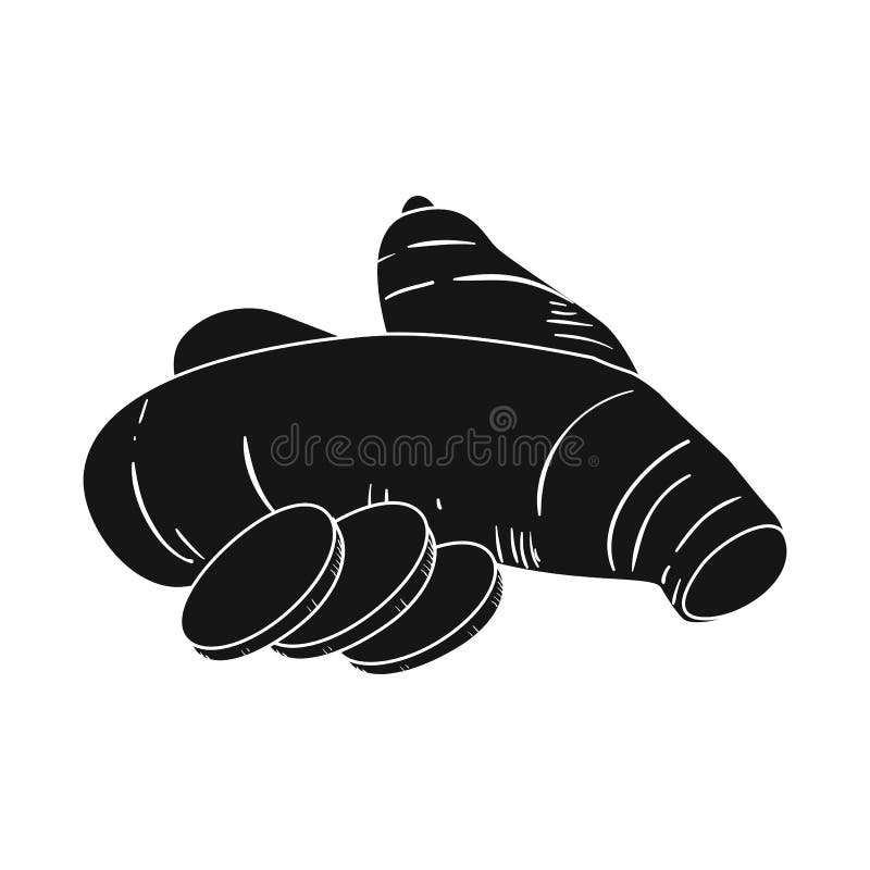 Vector Illustration of Ginger and Root Icon. Set of Ginger and Yellow ...