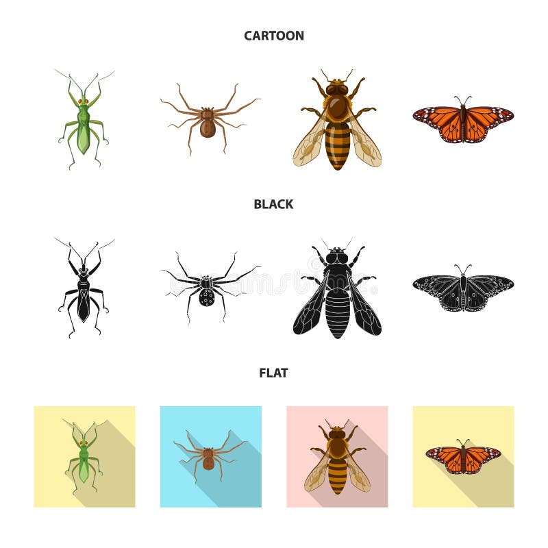 Isolated Object of Insect and Fly Logo. Collection of Insect and ...