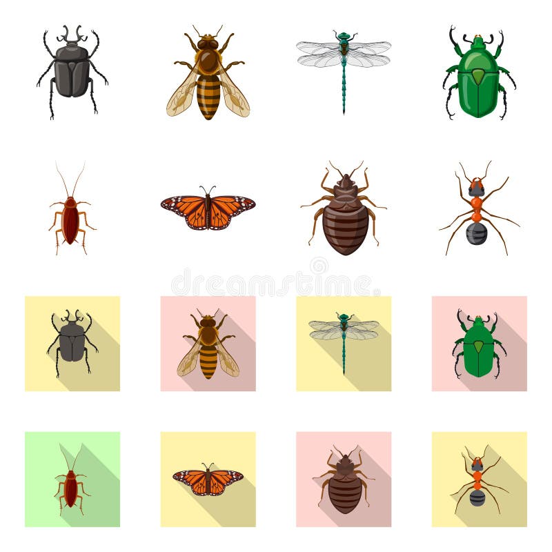 Vector Illustration of Insect and Fly Icon. Set of Insect and Element ...