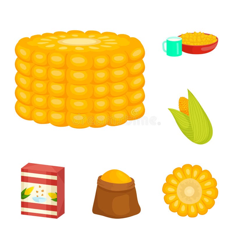 Isolated Object of Maize and Food Icon. Set of Maize and Crop Vector ...