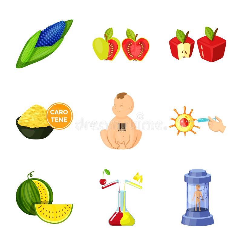 Vector Illustration of Modified and Genetically Sign. Set of Modified ...