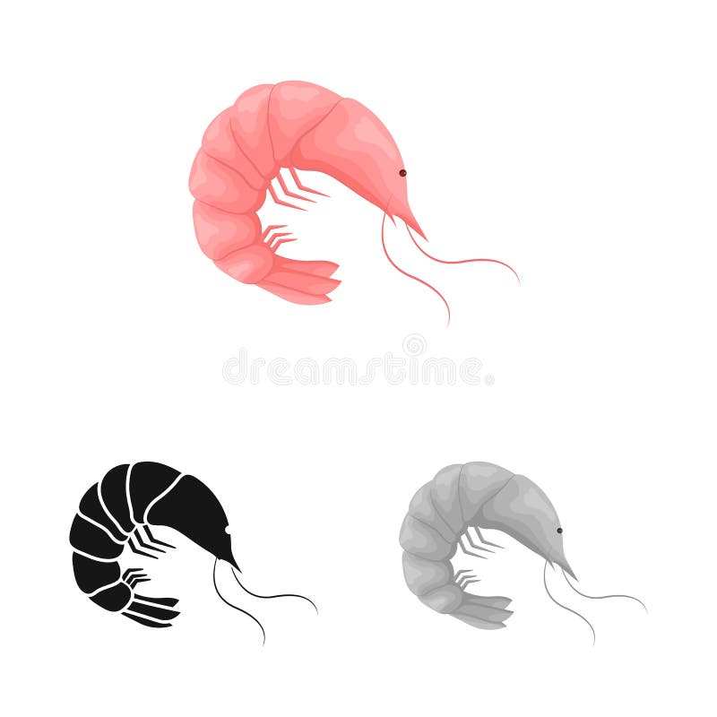 Vector Illustration of Prawn and Creature Symbol. Set of Prawn and ...