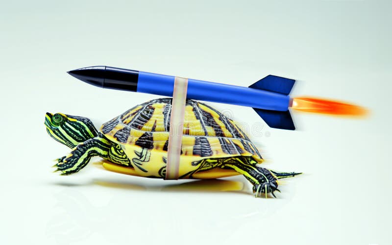 Strapped To Top Stock Photos - Free & Royalty-Free Stock Photos from ...