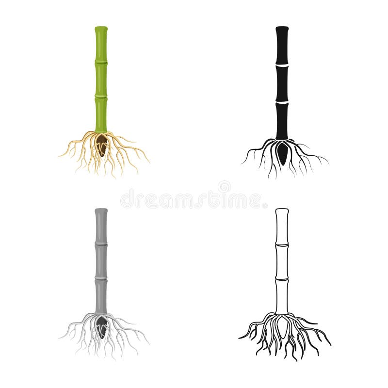 Isolated Object of Root and System Icon. Set of Root and Sprout Stock ...