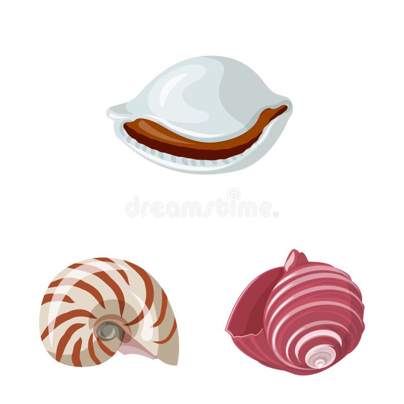 Isolated Object of Seashell and Mollusk Icon. Collection of Seashell ...