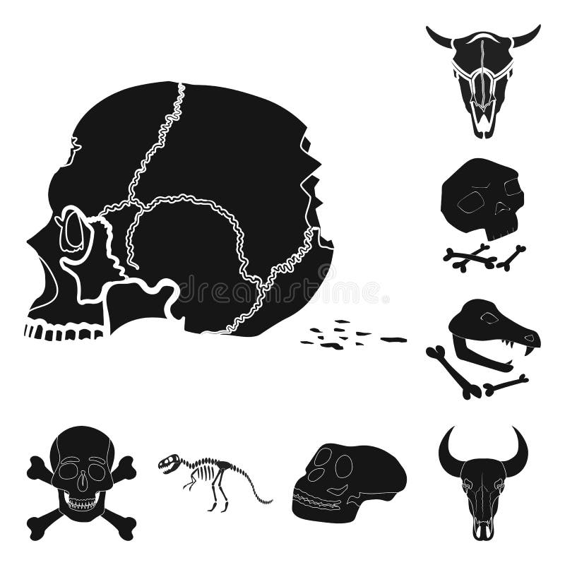 Isolated Object of Skeleton and Character Symbol. Collection of ...