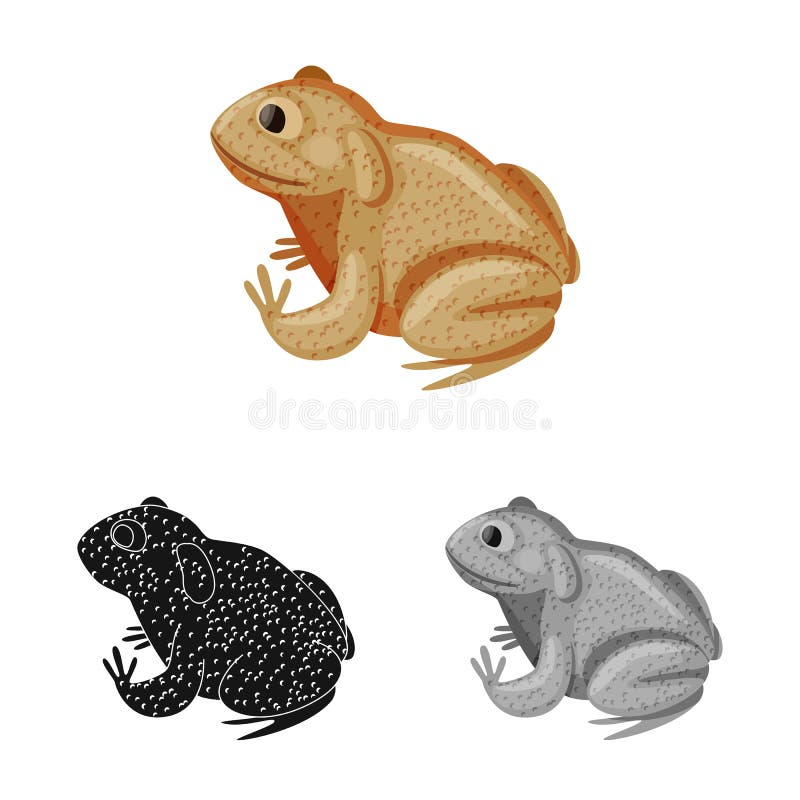Vector Illustration of Toad and Tropical Symbol. Collection of Toad and ...