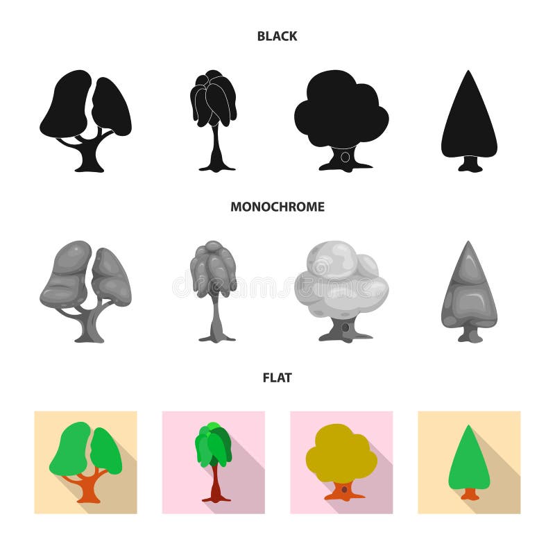 Isolated Object Of Tree And Nature Icon Collection Of Tree And Crown