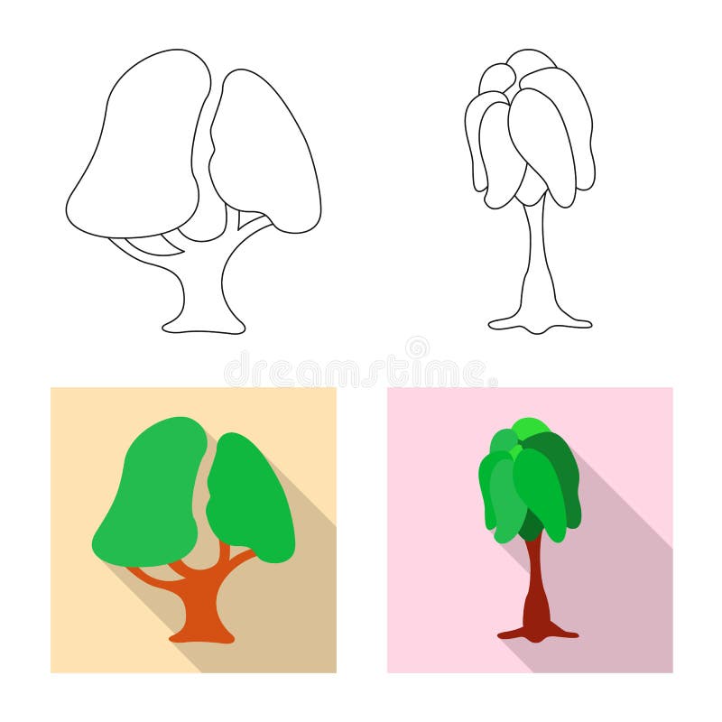 Isolated Object Of Tree And Nature Icon Set Of Tree And Crown Vector