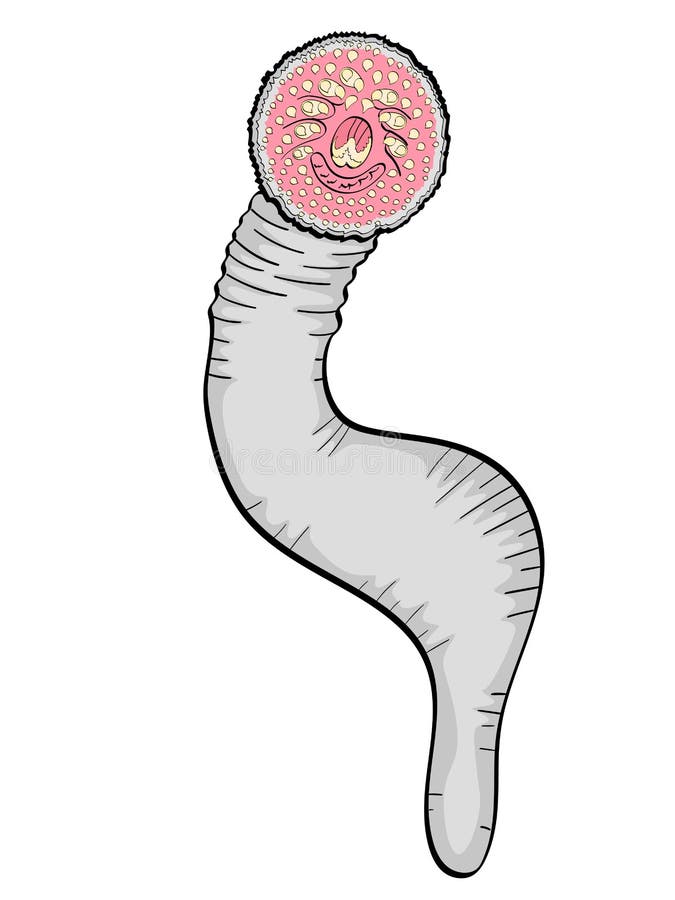 Lamprey Cartoon Stock Illustrations – 23 Lamprey Cartoon Stock ...