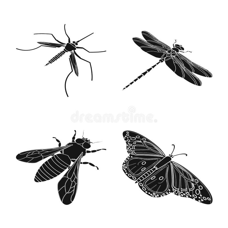 Isolated Object of Wings and Wing Symbol. Collection of Wings and Fly ...