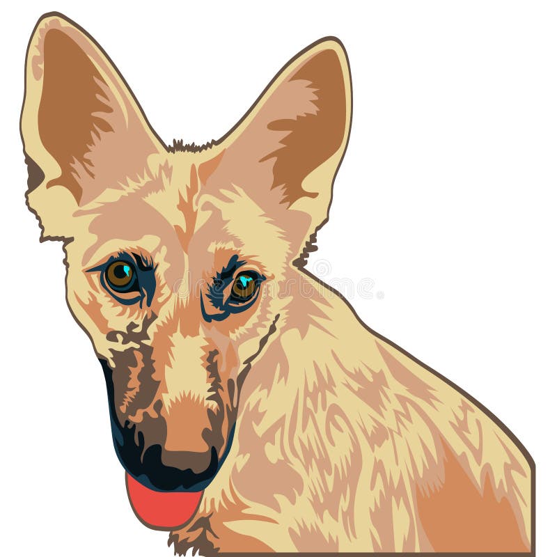 Yellow Shepherd Stock Illustrations – 941 Yellow Shepherd Stock ...