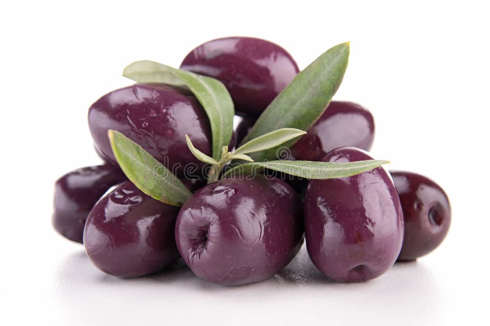 Isolated olive stock photo. Image of branch, white, isolated - 31446602