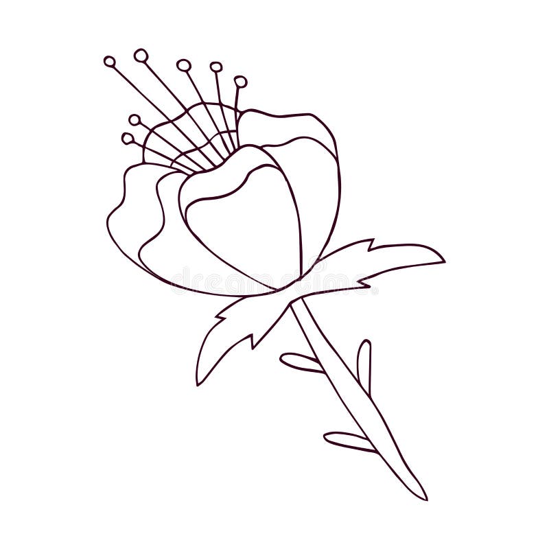 Isolated Outline of a Cute Flower Flat Design Vector Stock Vector ...