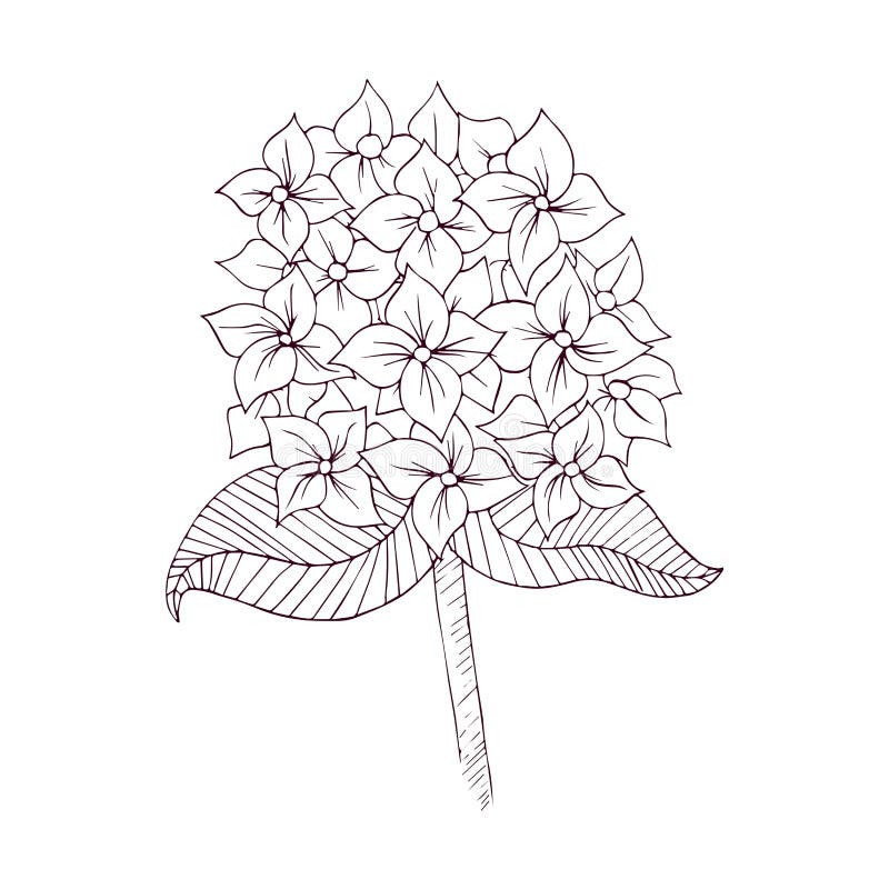 Isolated Outline of a Cute Flower Flat Design Vector Stock Vector ...