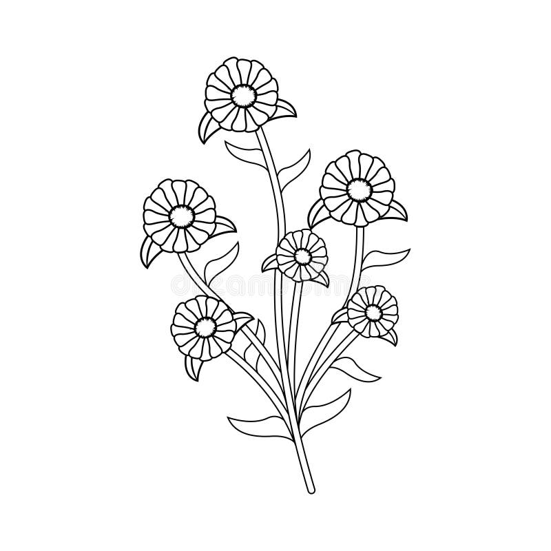 Isolated Outline of a Flower Stock Vector - Illustration of garden ...