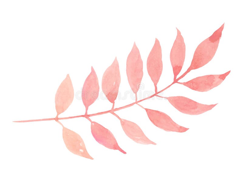 Pink Leaf stock illustration. Illustration of icon, culture - 34703585