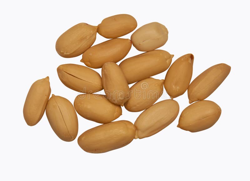 Isolated Peanut Shells stock image. Image of diet, food - 15689887