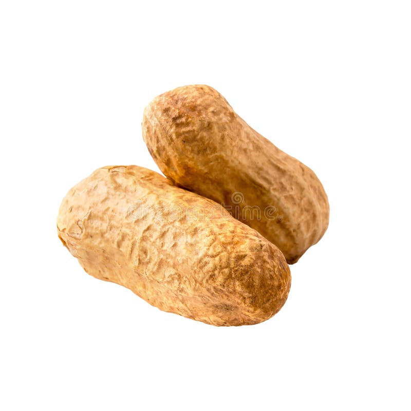 Two peanuts in a shell stock photo. Image of peanuts, objects - 174054