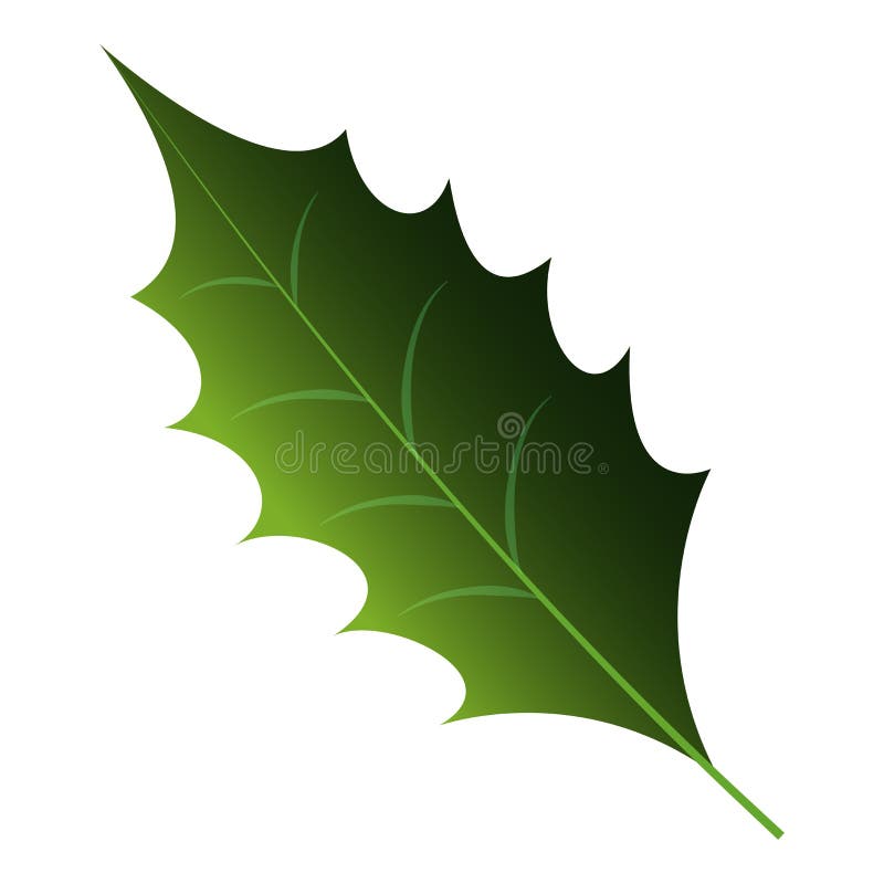 Isolated Pin Oak Leaf stock illustration. Illustration of space - 255582302