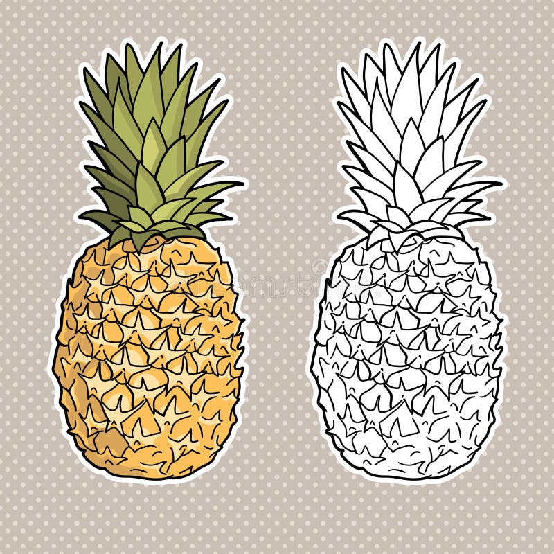 Isolated Pineapples. Graphic Stylized Drawing Stock Vector ...