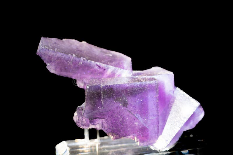 Isolated Pink Fluorite Crystal Mineral in Black Background Stock Image ...