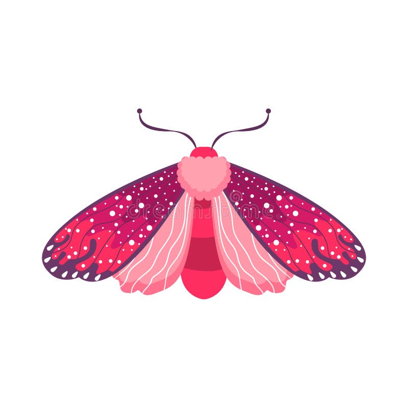 Isolated Pink Moth Vector Illustration Stock Vector - Illustration of ...