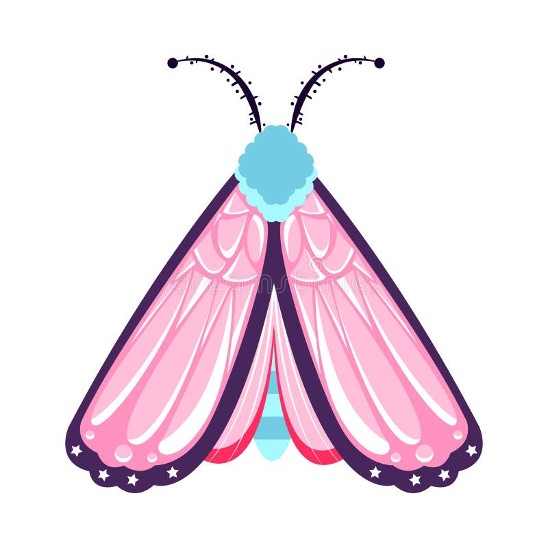 Isolated Pink Moth Vector Illustration Stock Vector - Illustration of ...