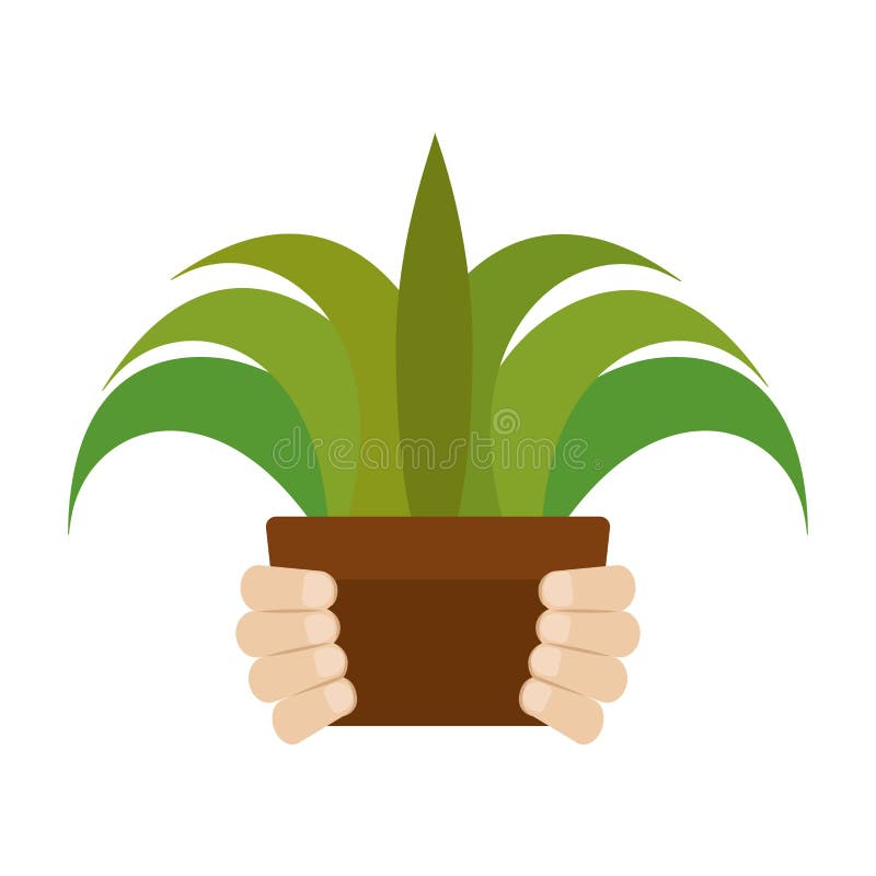 Isolated plant sow stock vector. Illustration of working - 201470742