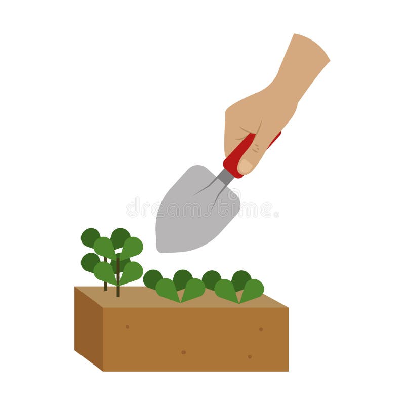 Tool Sow Stock Illustrations – 111 Tool Sow Stock Illustrations ...