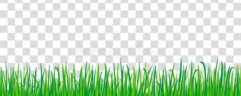 Grass background. stock vector. Illustration of growth - 122633632