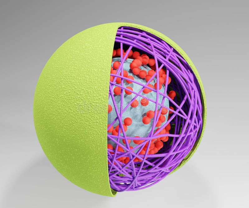 Polymeric Nanoparticle As a Nanocapsule Use As Imaging Agents or for ...