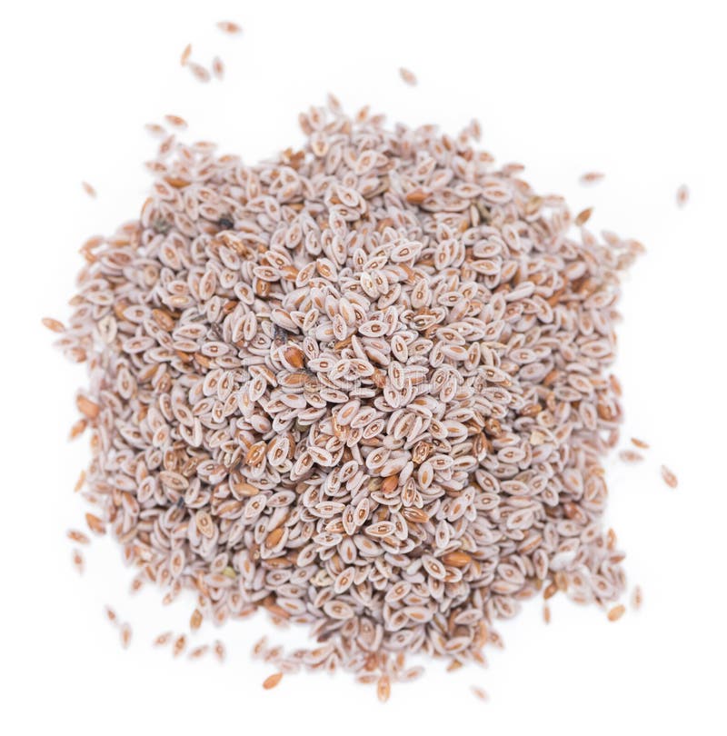 Psyllium seed husks stock photo. Image of prebiotic, supplement - 23208294