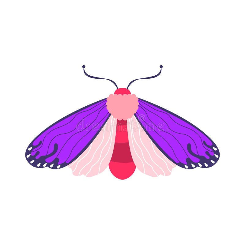 Isolated Purple Moth Vector Illustration Stock Vector - Illustration of ...