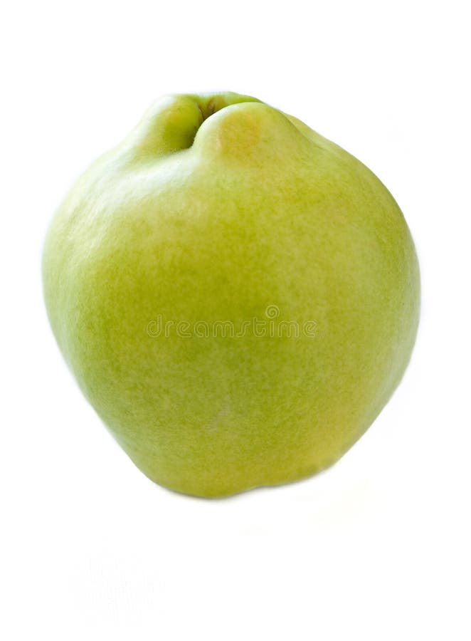 Isolated Quince stock photo. Image of isolated, green - 16641722