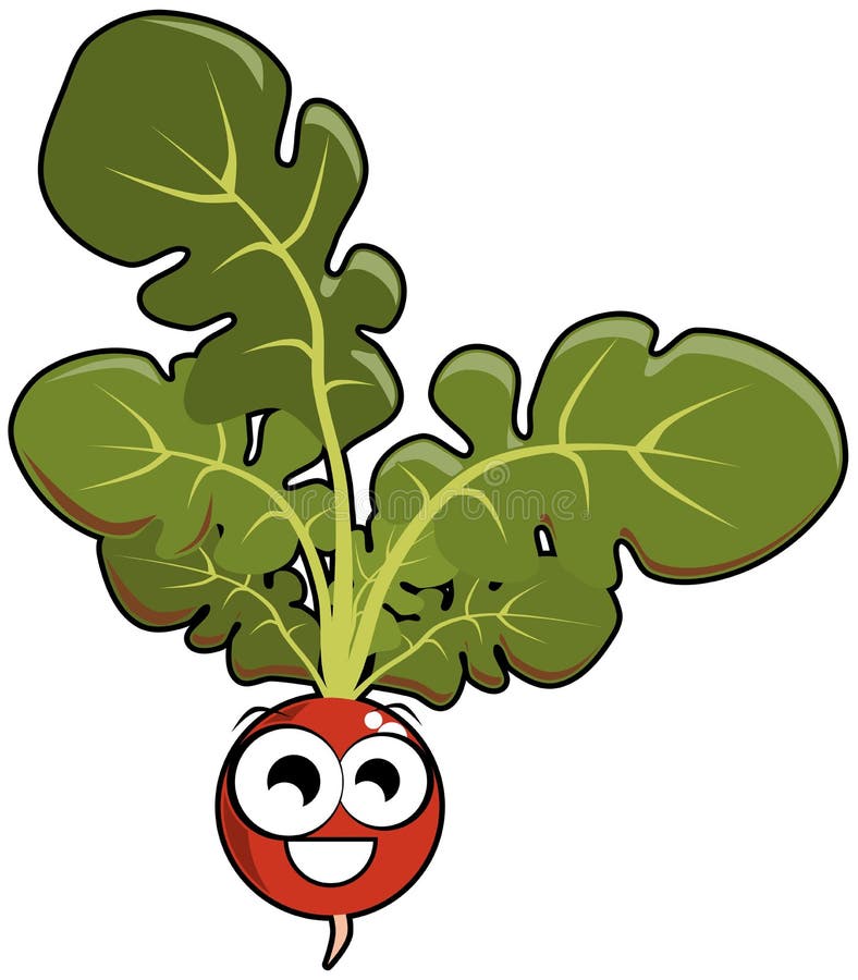 Isolated radish cartoon stock illustration. Illustration of dessert ...
