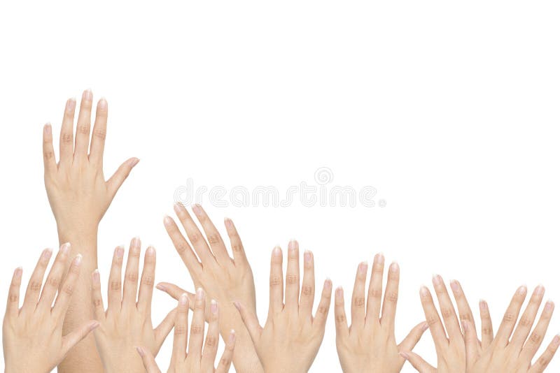 Hand Shake stock image. Image of friendly, gesture, partners - 11705889