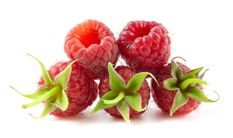Isolated Raspberry Berries on a White Background Stock Image - Image of ...