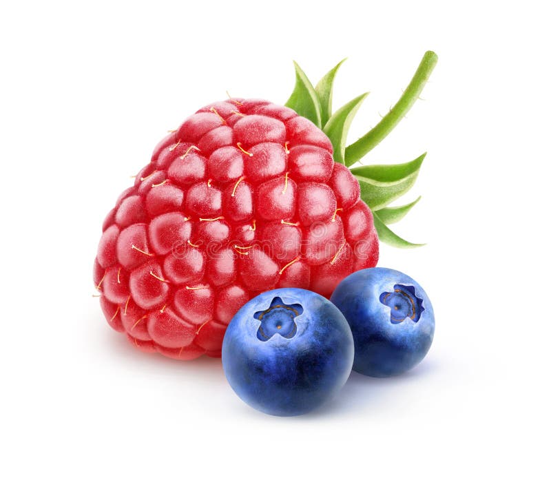 Raspberry stock photo. Image of ripe, freshness, juicy - 40731610