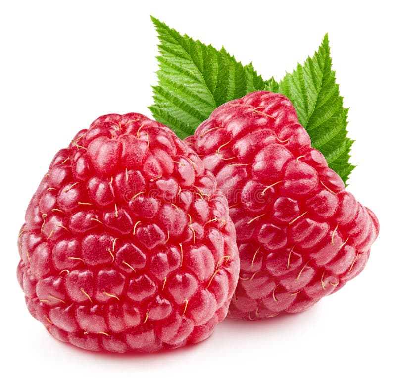 Isolated Raspberry with Leaves Stock Photo - Image of macro, fruit ...