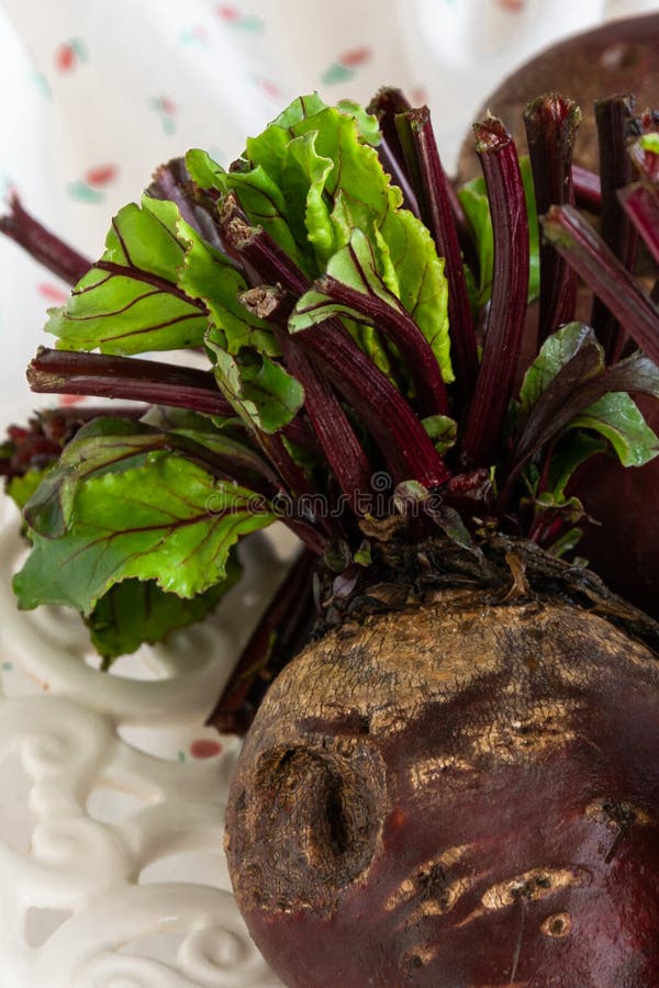 Isolated Raw Beet Root on White Background Stock Photo - Image of ...