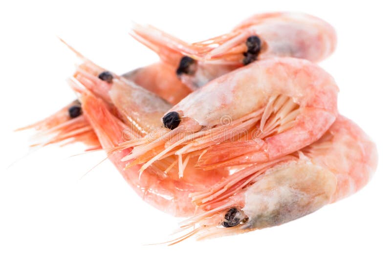 Isolated Raw Prawns stock image. Image of gambas, foods - 33158997